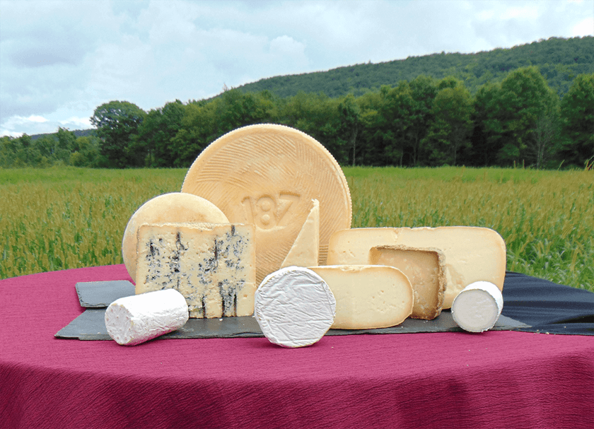 About Goot Essa Cheese: The Art of Authentic Amish Cheese by Goot Essa ...