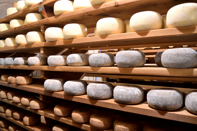 Goot Essa Cheese Events | Cheese Tastings, Markets & More – GootEssa